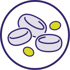 What is FLT3-ITD+ AML? | VANFLYTA® (quizartinib)